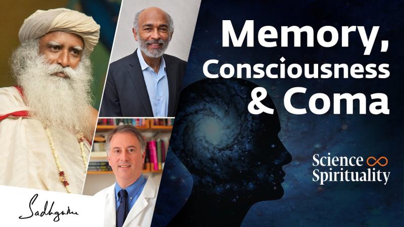 Xiaolu Hu on LinkedIn: Memory, Consciousness & Coma [Full Talk ... Xiaolu Hu on LinkedIn: Memory, Consciousness & Coma [Full Talk ...
