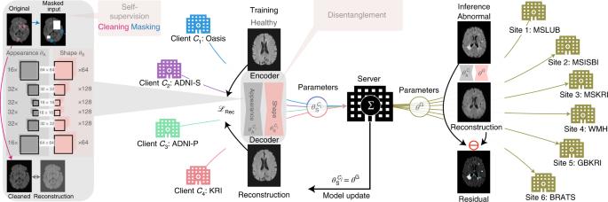 Cosmin Bercea on LinkedIn: Federated disentangled representation ... Cosmin Bercea on LinkedIn: Federated disentangled representation ...