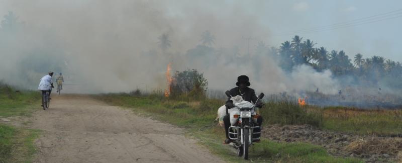 Christian Kull on LinkedIn: New project: what type of fire regime for ... Christian Kull on LinkedIn: New project: what type of fire regime for ...
