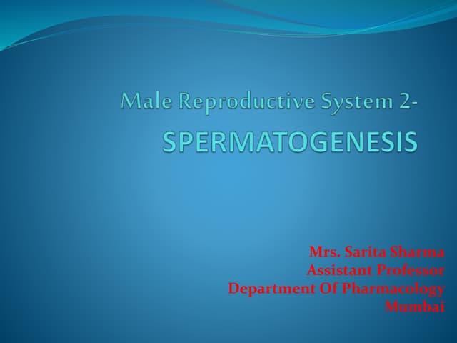 BIPLOVE SINGH on LinkedIn: Spermatogenesis (Male Reproductive System-2) BIPLOVE SINGH on LinkedIn: Spermatogenesis (Male Reproductive System-2)