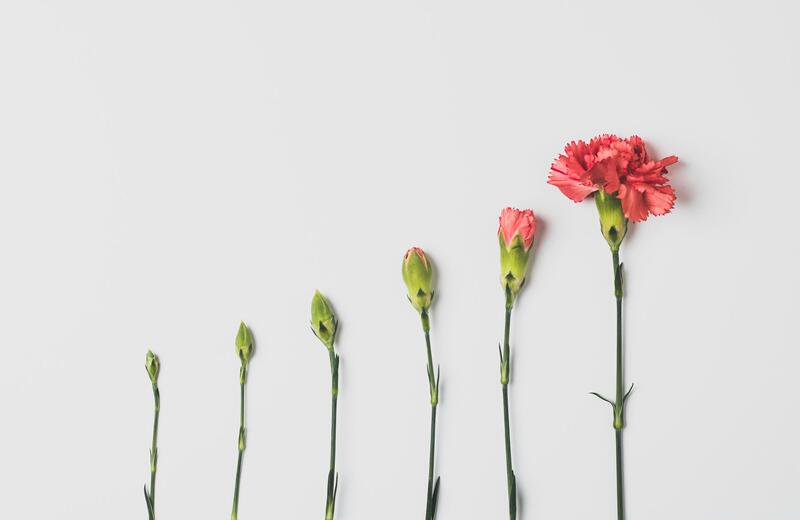 Rijo Jose on LinkedIn: Reduce Amazon EKS cost by scaling node groups to ... Rijo Jose on LinkedIn: Reduce Amazon EKS cost by scaling node groups to ...