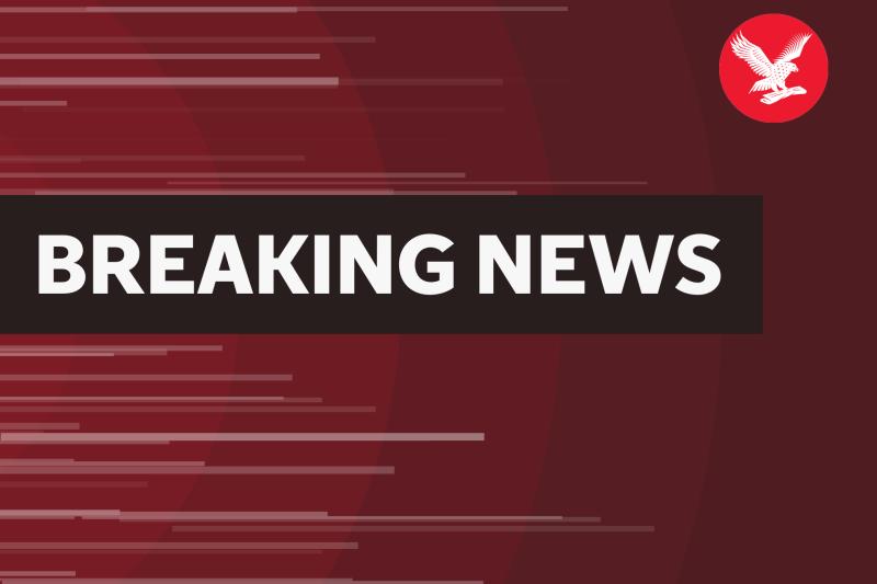 Lida Cepuch on LinkedIn: The Independent (@Independent) Tweeted ... Lida Cepuch on LinkedIn: The Independent (@Independent) Tweeted ...