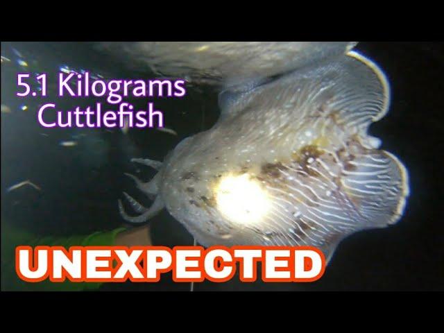 Allan Dave Pangadlo on LinkedIn: Part 1. 34th Night Spearfishing |Naka ... Allan Dave Pangadlo on LinkedIn: Part 1. 34th Night Spearfishing |Naka ...