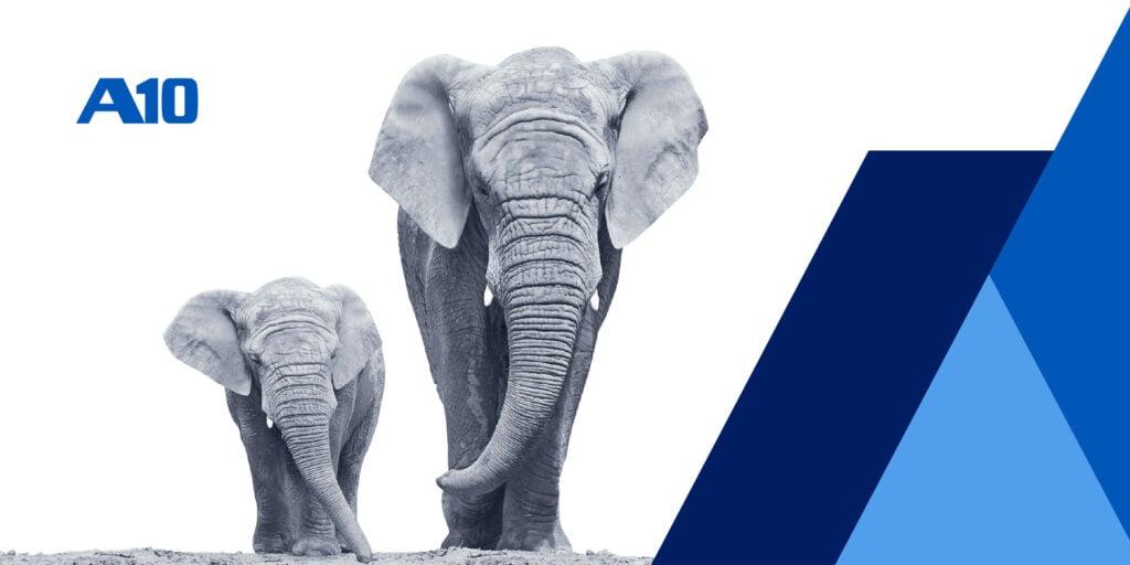A10 Networks, Inc on LinkedIn: Centralized TLS Decryption: The ... A10 Networks, Inc on LinkedIn: Centralized TLS Decryption: The ...