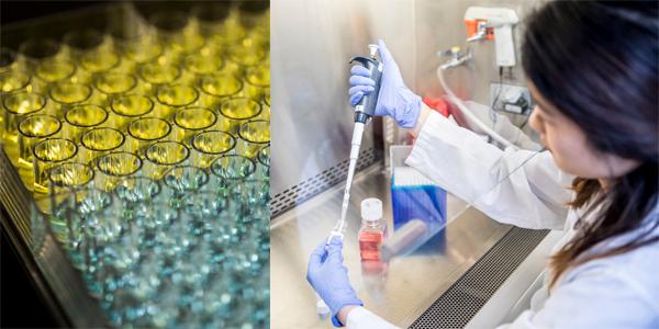 University of Washington Bioengineering on LinkedIn: UW Master’s in ... University of Washington Bioengineering on LinkedIn: UW Master’s in ...