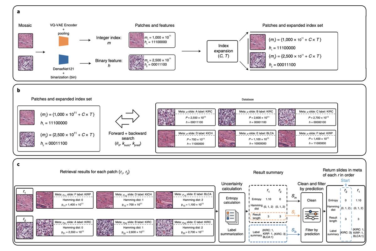 Fahad Najam on LinkedIn: Harvard Researchers Propose a Self-Supervised ... Fahad Najam on LinkedIn: Harvard Researchers Propose a Self-Supervised ...