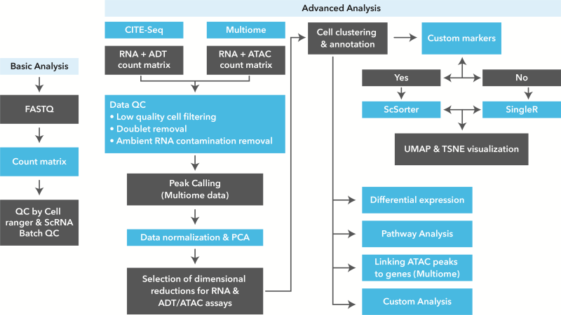 MEDGENOME on LinkedIn: MedGenome’s advanced bioinformatics workflows ... MEDGENOME on LinkedIn: MedGenome’s advanced bioinformatics workflows ...
