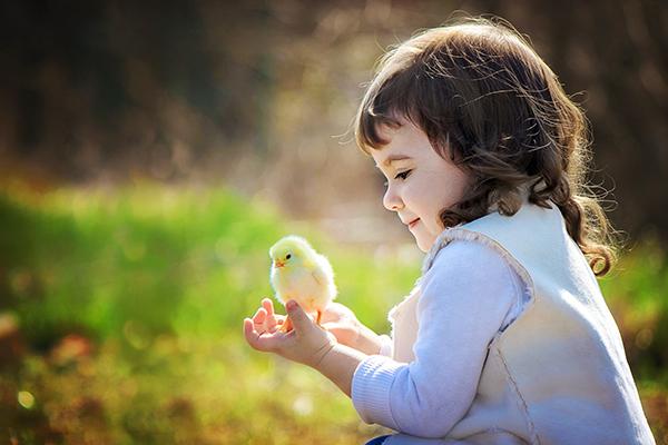 Omar Mostafa on LinkedIn: Selenium Yeast, More Safety and Efficacy for ... Omar Mostafa on LinkedIn: Selenium Yeast, More Safety and Efficacy for ...