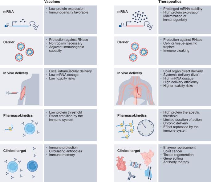 Saurabh Tak on LinkedIn: Unlocking the promise of mRNA therapeutics ... Saurabh Tak on LinkedIn: Unlocking the promise of mRNA therapeutics ...