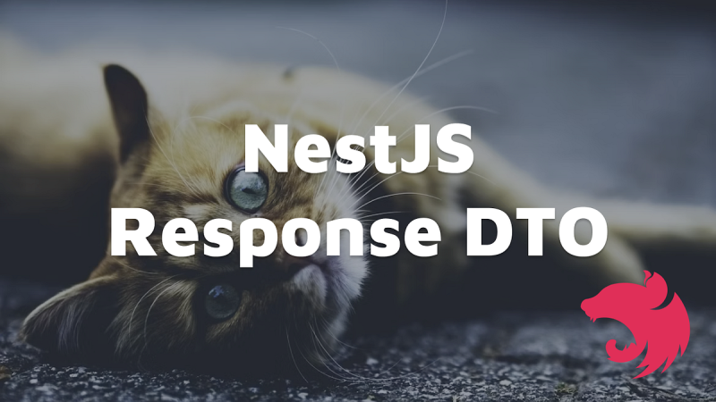 Jorge Sarmiento on LinkedIn: Proper Way To Create Response DTO in Nest.js Jorge Sarmiento on LinkedIn: Proper Way To Create Response DTO in Nest.js