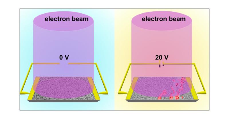 Andrea Falqui on LinkedIn: In Situ TEM Investigation of Thermally ... Andrea Falqui on LinkedIn: In Situ TEM Investigation of Thermally ...