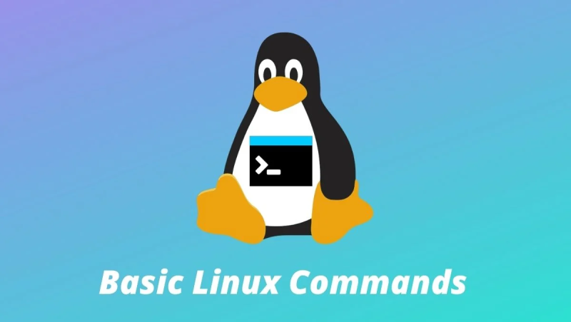 Dwarika Jha on LinkedIn: Basic Linux Commands Part - 2 Dwarika Jha on LinkedIn: Basic Linux Commands Part - 2