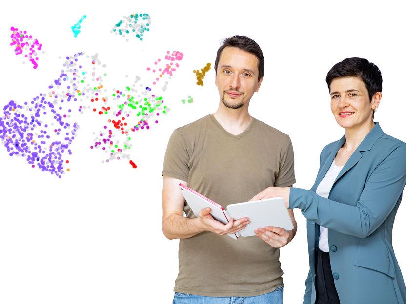 bionity.com on LinkedIn: AI tool improves diagnosis of leukaemia in ... bionity.com on LinkedIn: AI tool improves diagnosis of leukaemia in ...