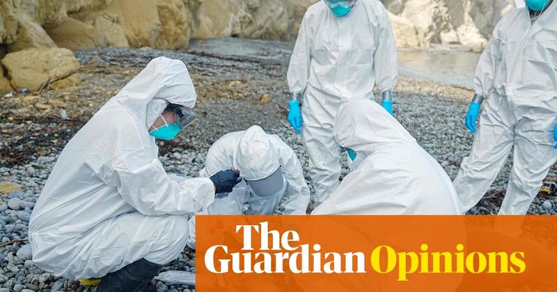 Danielle B. Ayyash on LinkedIn: Bird flu could become the next human ... Danielle B. Ayyash on LinkedIn: Bird flu could become the next human ...