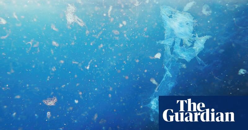 Jonathan Eddison on LinkedIn: Should I worry about microplastics? Jonathan Eddison on LinkedIn: Should I worry about microplastics?