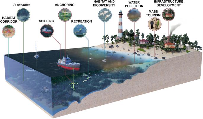 Nadiia Basos on LinkedIn: AI-driven remote sensing enhances ... Nadiia Basos on LinkedIn: AI-driven remote sensing enhances ...