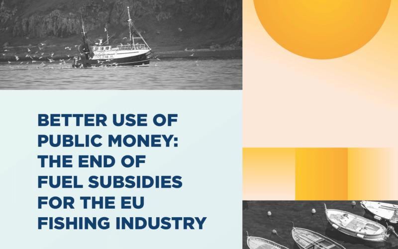 Our Fish on LinkedIn: New Report Reveals How EU Subsidies Drive Fossil ... Our Fish on LinkedIn: New Report Reveals How EU Subsidies Drive Fossil ...