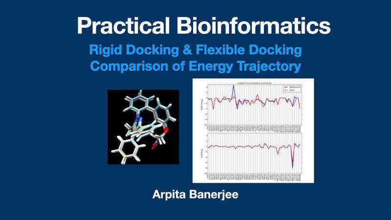 Arpita Banerjee on LinkedIn: Rigid Docking vs Flexible Docking ... Arpita Banerjee on LinkedIn: Rigid Docking vs Flexible Docking ...