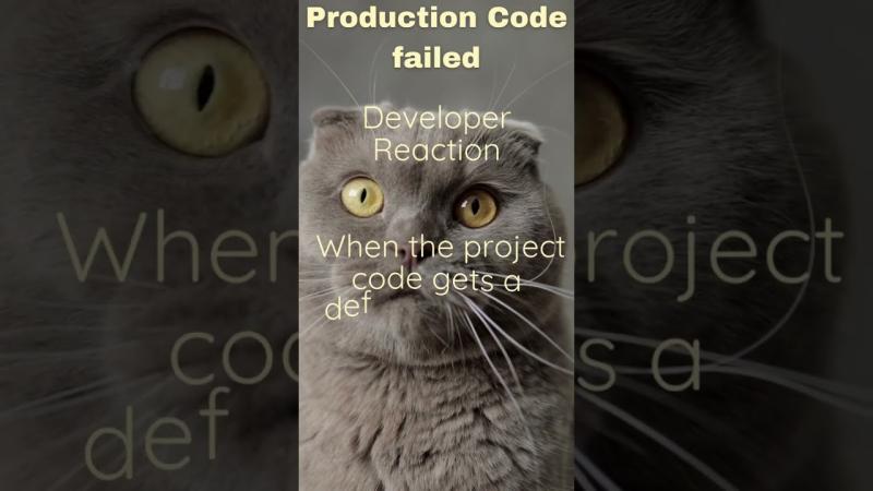 Nilesh Jadhav on LinkedIn: Production Code Failed #learn #python #english Nilesh Jadhav on LinkedIn: Production Code Failed #learn #python #english