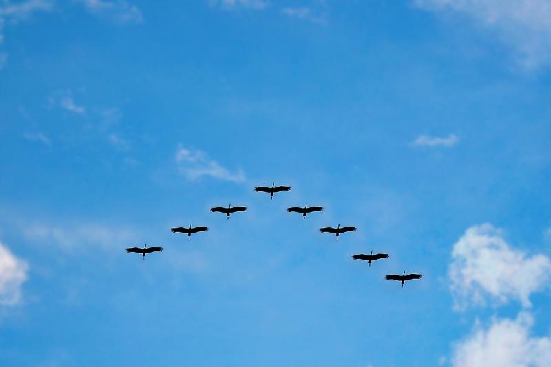 Joey Melcher on LinkedIn: Netflix's Testing Strategies for Migrating to ... Joey Melcher on LinkedIn: Netflix's Testing Strategies for Migrating to ...