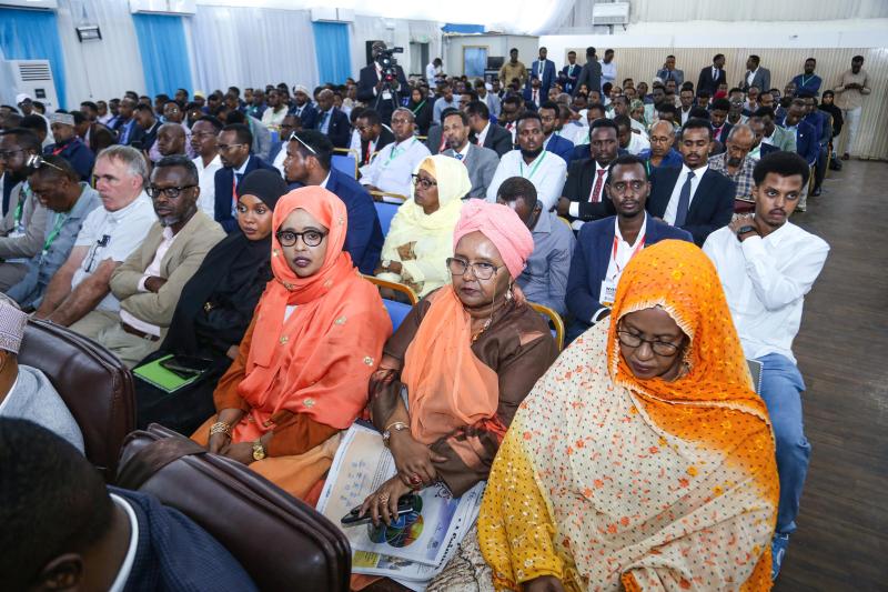 Bashir Said Hassan on LinkedIn: Somalia rising as source of remittances ... Bashir Said Hassan on LinkedIn: Somalia rising as source of remittances ...