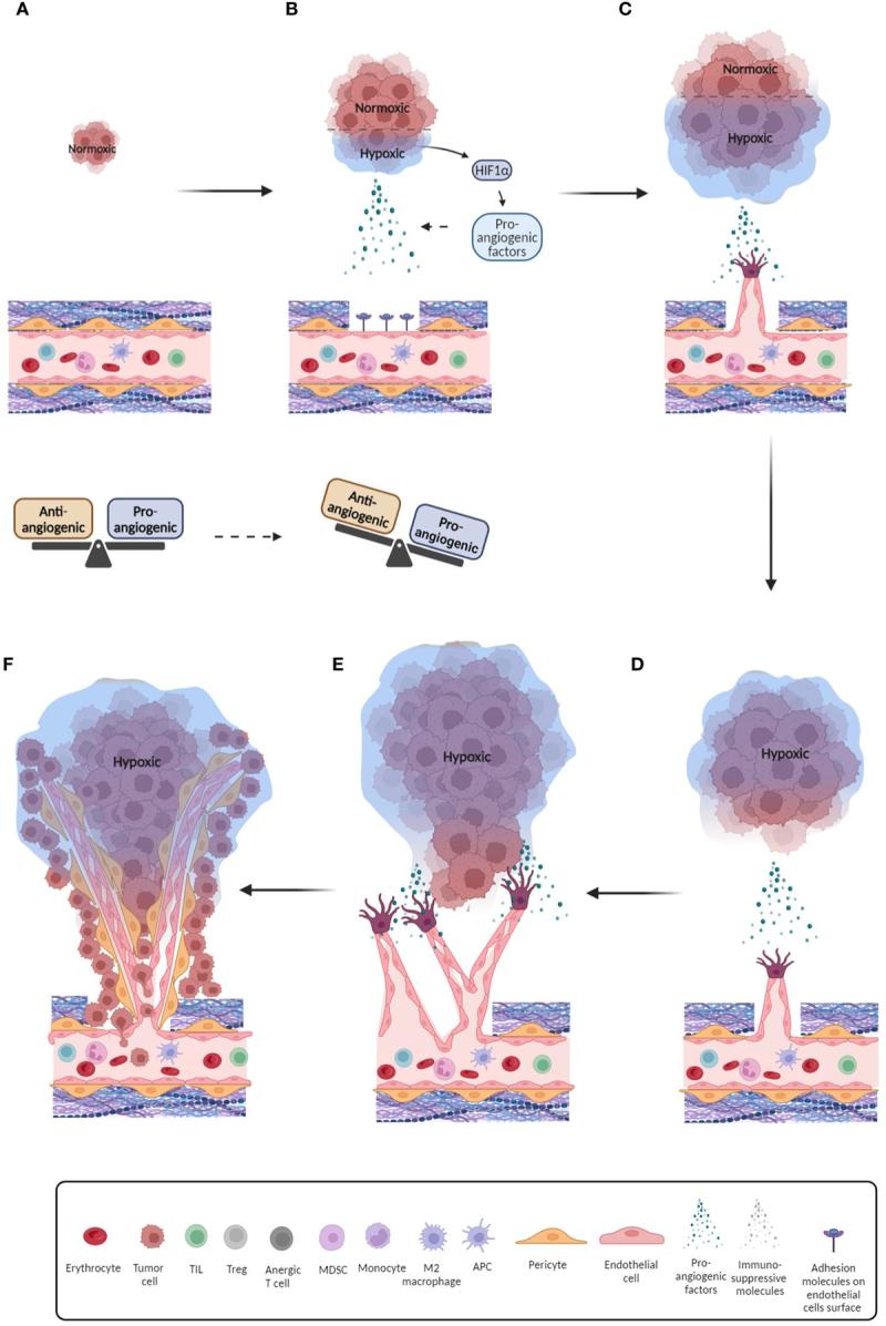 May Guo on LinkedIn: Frontiers | Nucleic acid cancer vaccines targeting ... May Guo on LinkedIn: Frontiers | Nucleic acid cancer vaccines targeting ...
