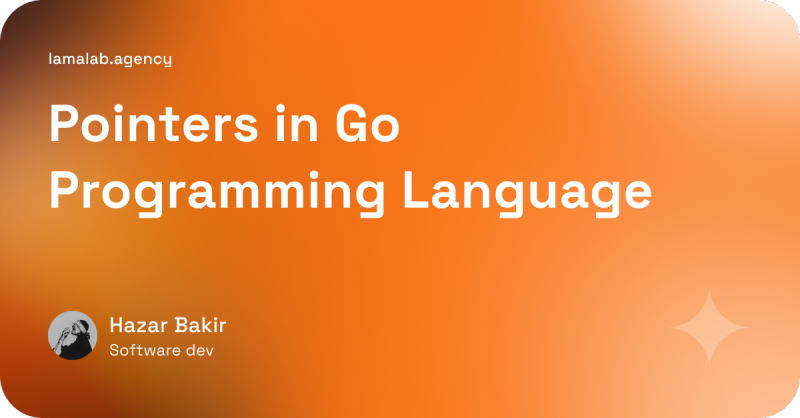 Lama Lab on LinkedIn: Pointers in Go Programming Language Lama Lab on LinkedIn: Pointers in Go Programming Language