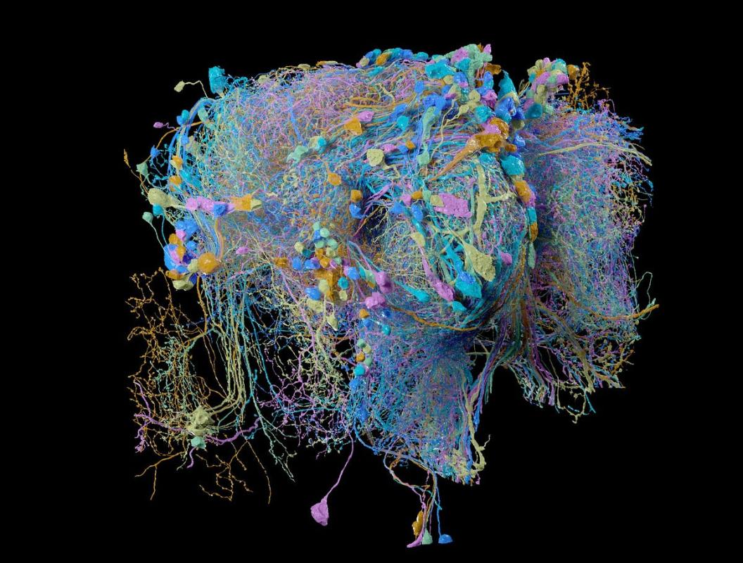 Alain AIROM on LinkedIn: An Introduction to Reinforcement Learning Alain AIROM on LinkedIn: An Introduction to Reinforcement Learning