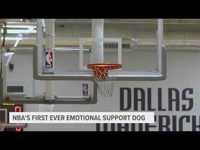 Eran Reshef on LinkedIn: Dallas Mavericks Basketball team finds new way ... Eran Reshef on LinkedIn: Dallas Mavericks Basketball team finds new way ...