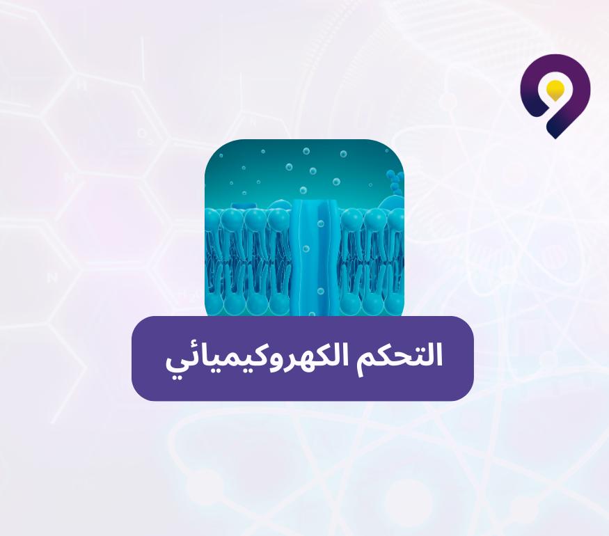 Hadeer Elsakka on LinkedIn: مسار جديد للتحكم الكهروكيميائي في انتقائية ... Hadeer Elsakka on LinkedIn: مسار جديد للتحكم الكهروكيميائي في انتقائية ...
