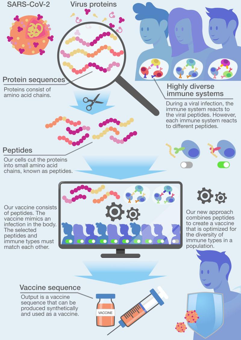 Jim Sweeney on LinkedIn: Exploiting epitope overlaps: A new approach to ... Jim Sweeney on LinkedIn: Exploiting epitope overlaps: A new approach to ...