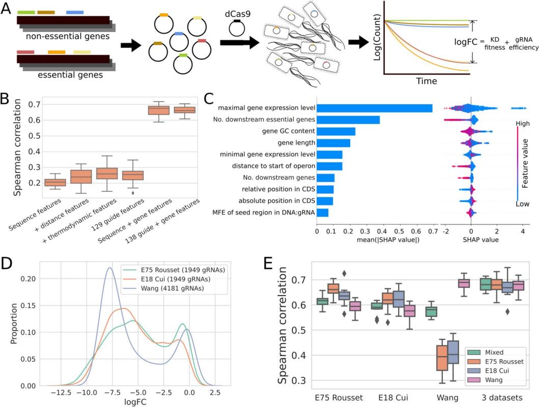 Filipa Englefield on LinkedIn: Bioinformatics: Researchers develop a ... Filipa Englefield on LinkedIn: Bioinformatics: Researchers develop a ...