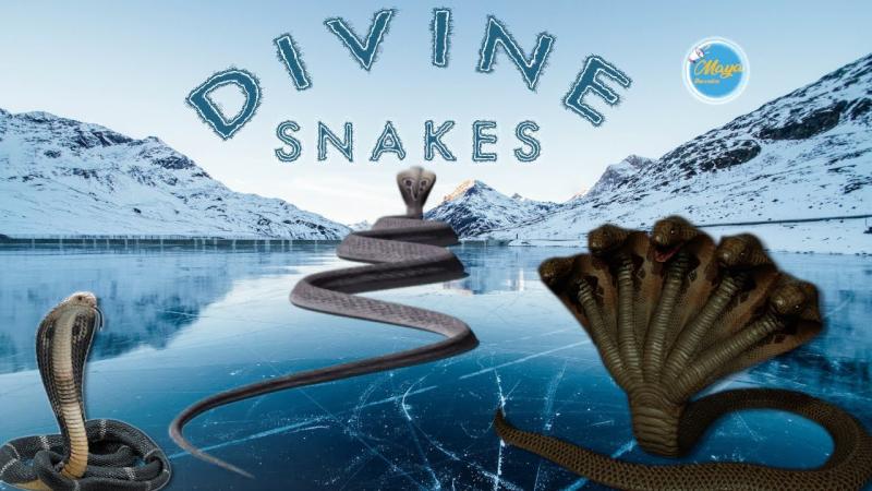 Maya The voice on LinkedIn: Decoding Divine Snakes: Unveiling Sheshnaag ... Maya The voice on LinkedIn: Decoding Divine Snakes: Unveiling Sheshnaag ...