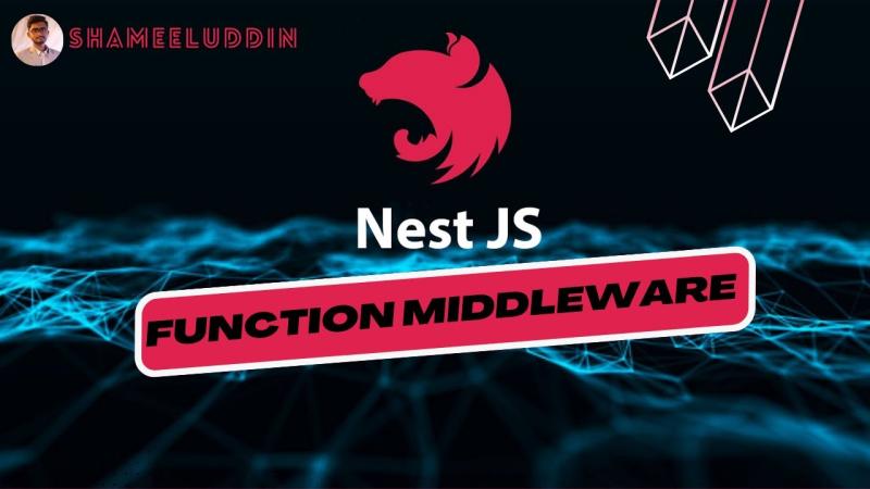 Shameel Uddin 🇵🇸 on LinkedIn: NestJS Tutorial #20 | Function Middleware Shameel Uddin 🇵🇸 on LinkedIn: NestJS Tutorial #20 | Function Middleware