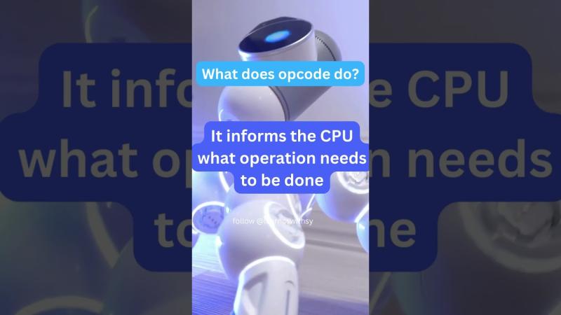 Sadaf Yousuf on LinkedIn: What does opcode do? #olevels #youtubeshorts ... Sadaf Yousuf on LinkedIn: What does opcode do? #olevels #youtubeshorts ...