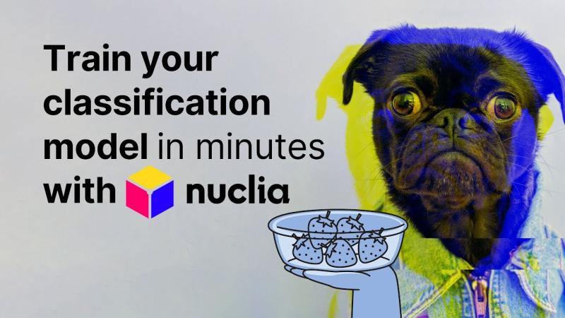 Casimiro Pio Carrino on LinkedIn: Tutorial: Train your classification ... Casimiro Pio Carrino on LinkedIn: Tutorial: Train your classification ...