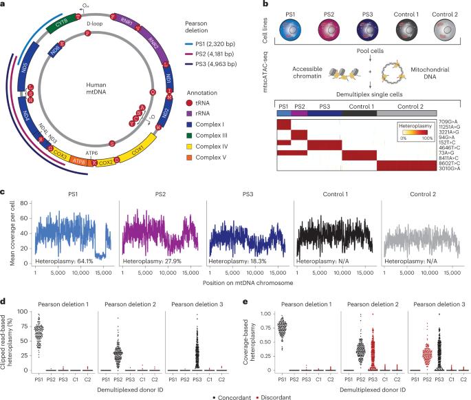 Rare Diseases Clinical Research Network (RDCRN) on LinkedIn: Single ... Rare Diseases Clinical Research Network (RDCRN) on LinkedIn: Single ...