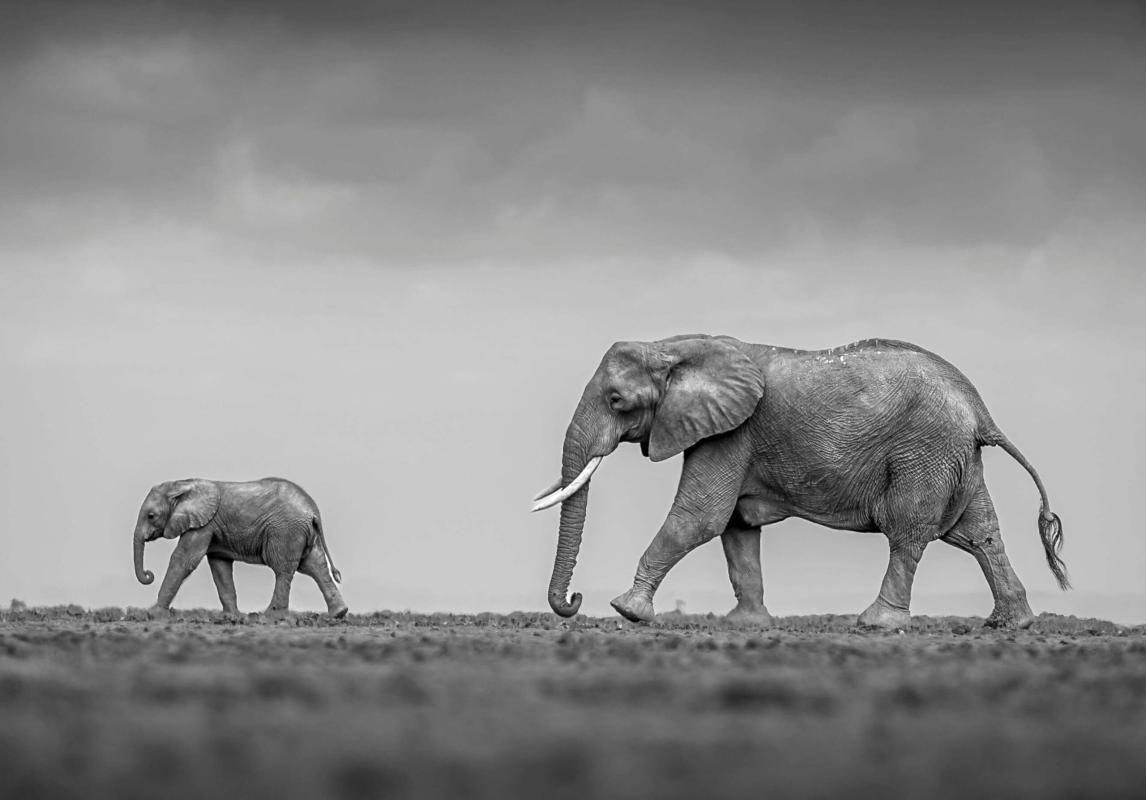 Semab Tariq on LinkedIn: A Follow up on Key PostgreSQL Configuration ... Semab Tariq on LinkedIn: A Follow up on Key PostgreSQL Configuration ...