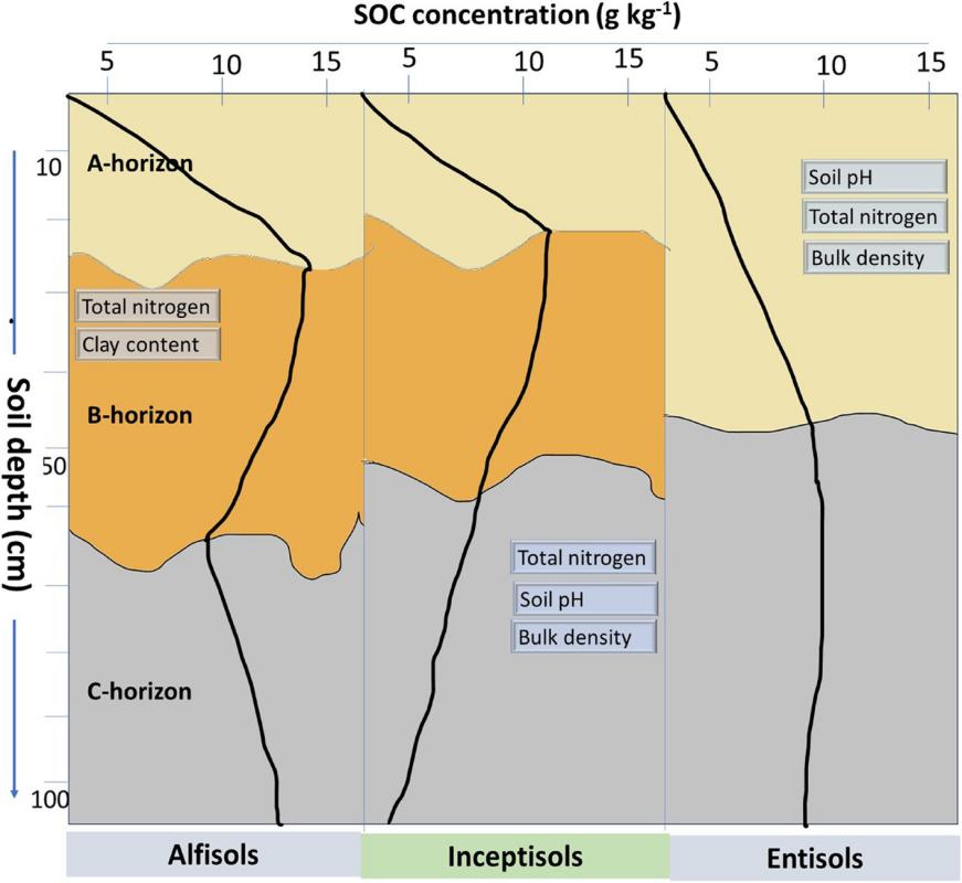 Sunil Ghimire on LinkedIn: Profile distribution and edaphic controls of ... Sunil Ghimire on LinkedIn: Profile distribution and edaphic controls of ...