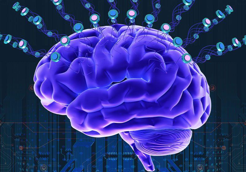 Prof. Dr. Muhsin Konuk on LinkedIn: An Epigenetic Brain Scan Prof. Dr. Muhsin Konuk on LinkedIn: An Epigenetic Brain Scan