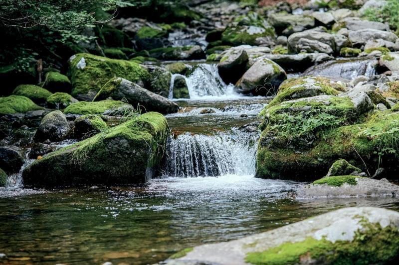 Learn about Java 8 Streams for data processing | Jaydeep Ravat posted ... Learn about Java 8 Streams for data processing | Jaydeep Ravat posted ...