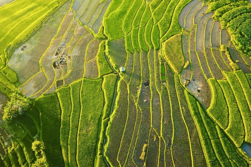 Ivan Idrovo on LinkedIn: Five Pathways to Transform Food Systems in ... Ivan Idrovo on LinkedIn: Five Pathways to Transform Food Systems in ...