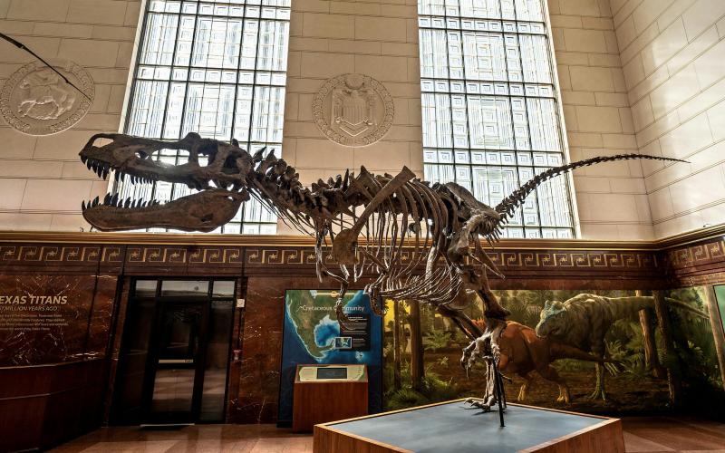 Texas Science & Natural History Museum on LinkedIn: Austin's Only ... Texas Science & Natural History Museum on LinkedIn: Austin's Only ...