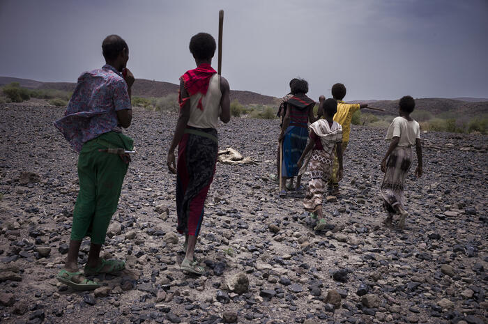 Aden M. Ali on LinkedIn: Ethiopia: Humanitarian Response Plan 2024 ... Aden M. Ali on LinkedIn: Ethiopia: Humanitarian Response Plan 2024 ...