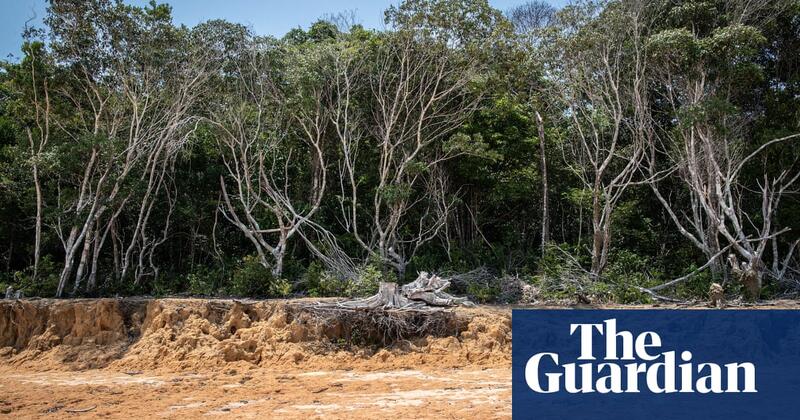 Verel Rodrigues on LinkedIn: More than third of Amazon rainforest ... Verel Rodrigues on LinkedIn: More than third of Amazon rainforest ...