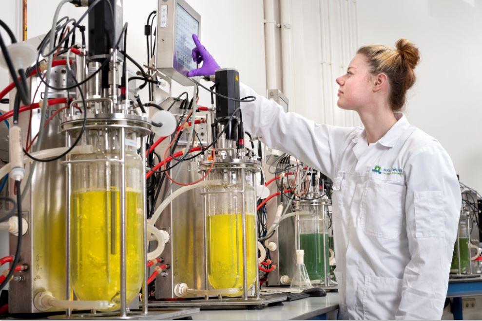 Martijn Bekker on LinkedIn: Lab-based optimisation of microbial food ... Martijn Bekker on LinkedIn: Lab-based optimisation of microbial food ...