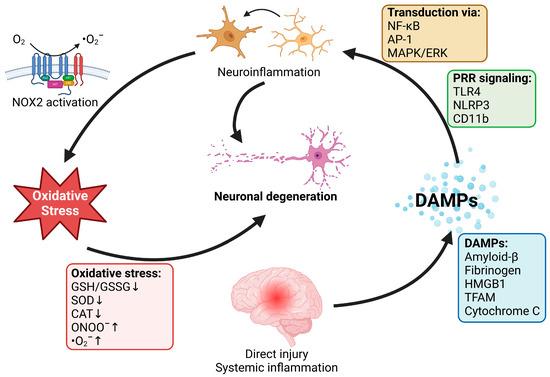 Thomas Muenzel on LinkedIn: Crosstalk between Oxidative Stress and ... Thomas Muenzel on LinkedIn: Crosstalk between Oxidative Stress and ...