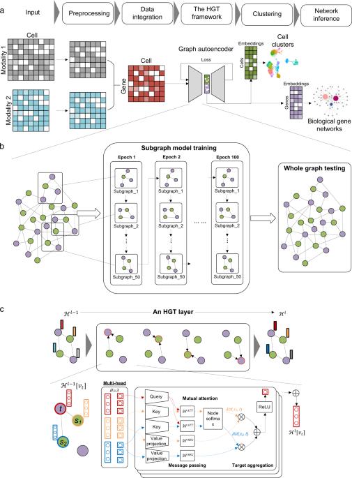 Sertan Arkan on LinkedIn: Single-cell biological network inference ... Sertan Arkan on LinkedIn: Single-cell biological network inference ...