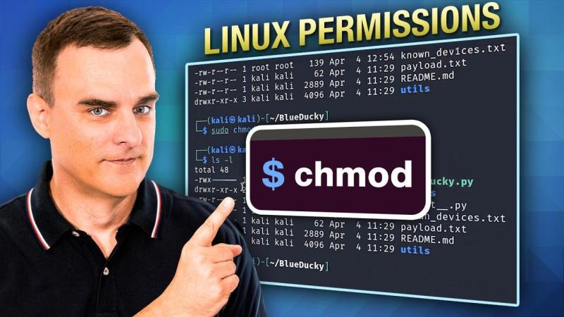 David Bombal on LinkedIn: You better learn Linux Permissions! Linux for ... David Bombal on LinkedIn: You better learn Linux Permissions! Linux for ...