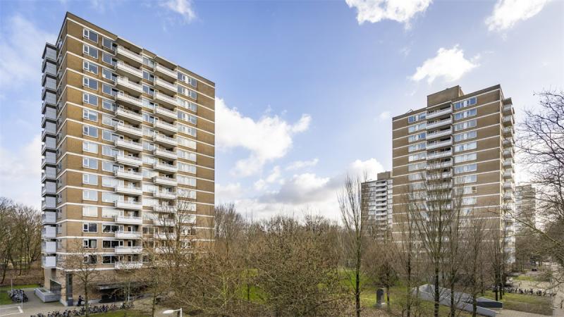 David van Dijk MRE MRICS on LinkedIn: Buitenlandse belegger koopt 174 ... David van Dijk MRE MRICS on LinkedIn: Buitenlandse belegger koopt 174 ...